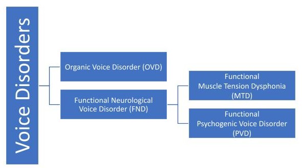 Articles | Bayside Voice Centre